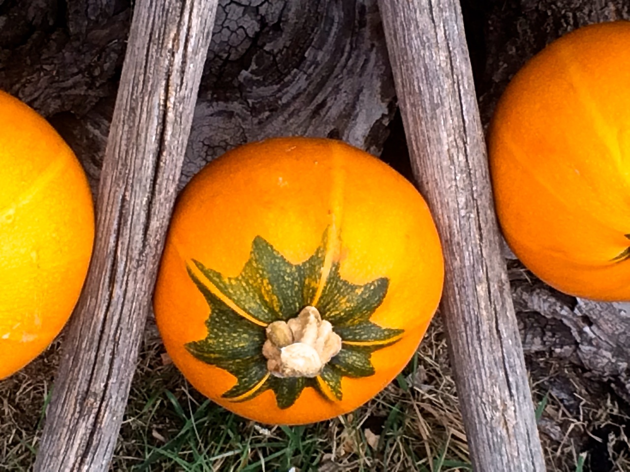 Parsons Farm Market – Keremeos, British Columbia, Canada | Where To Go ...