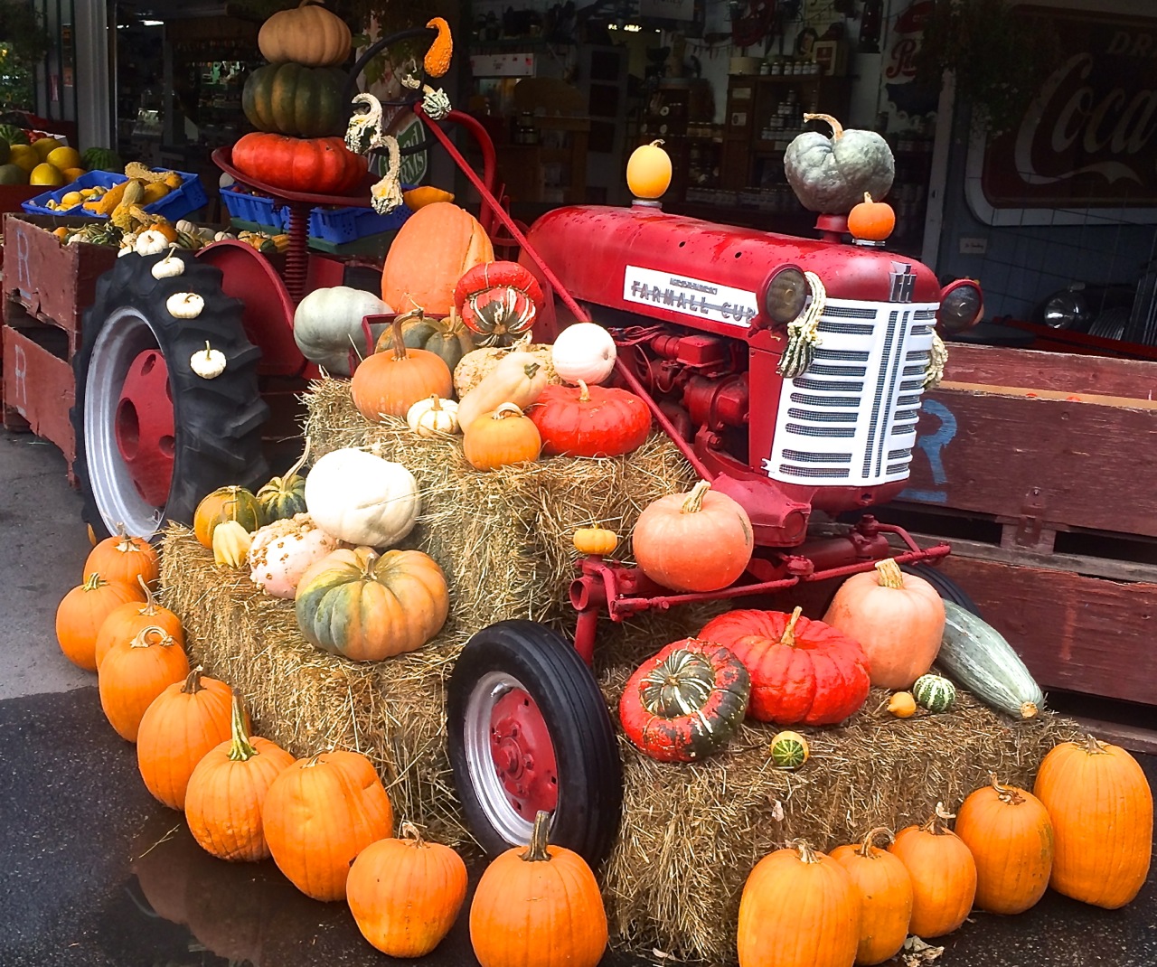 Parsons Farm Market – Keremeos, British Columbia, Canada | Where To Go ...