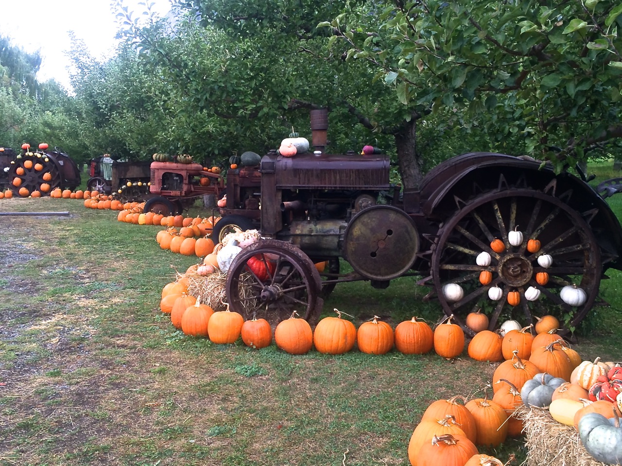 Parsons Farm Market – Keremeos, British Columbia, Canada | Where To Go ...