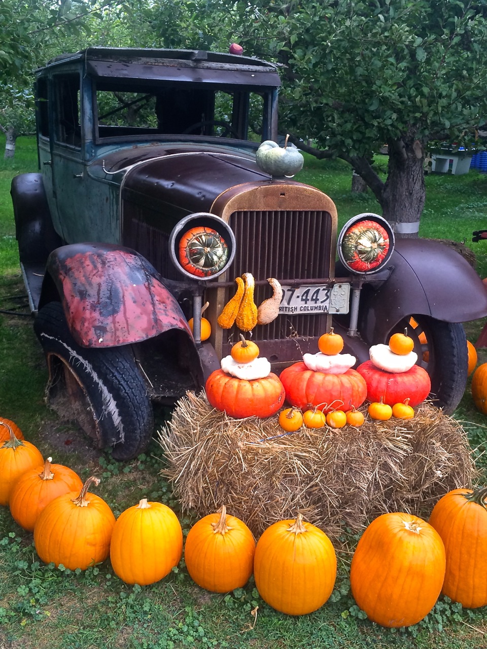 Parsons Farm Market – Keremeos, British Columbia, Canada | Where To Go ...