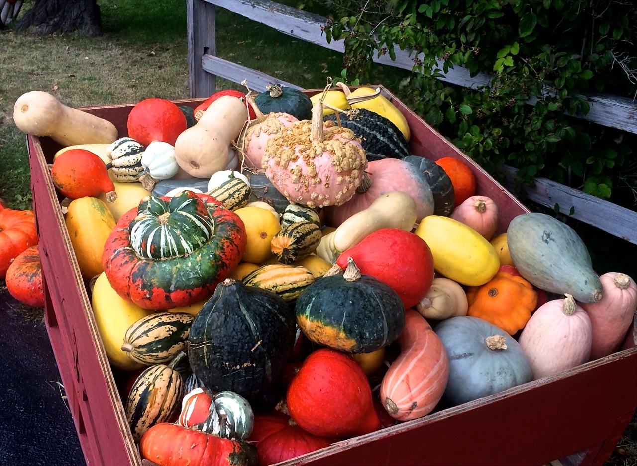 Parsons Farm Market – Keremeos, British Columbia, Canada | Where To Go ...
